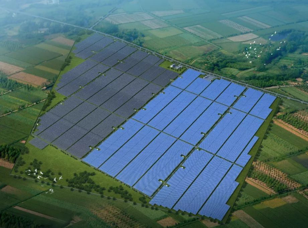 Solar Farm